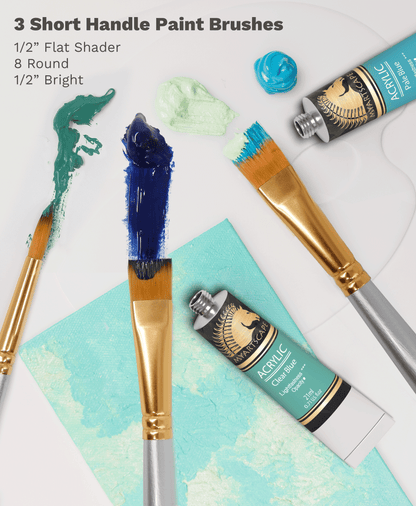 Acrylic Paint Set, 21ml Tubes - Set of 72 with 3 Paint Brushes – MyArtscape